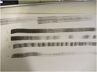 Guest Post: Sarah Benkin, Textures