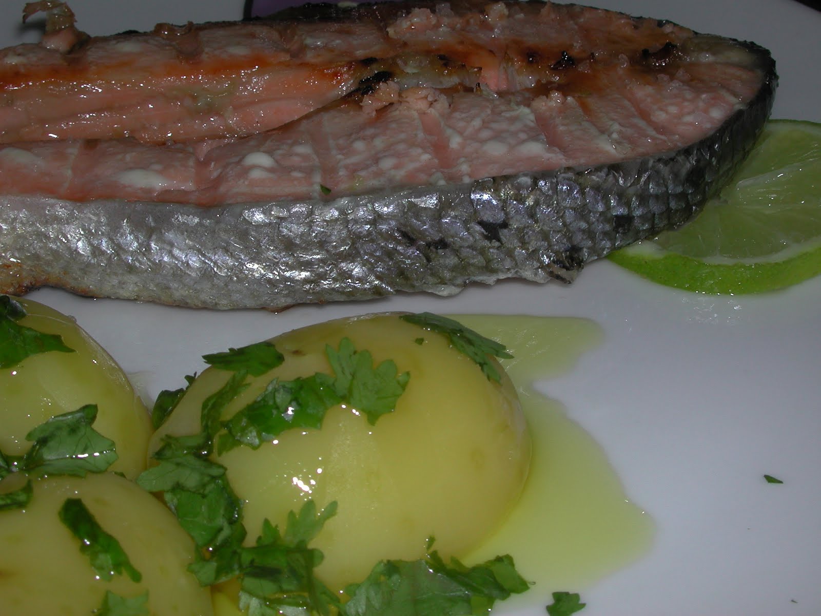 _O Amor é uma Arte_: Salmão Grelhado _O Amor é uma Arte_: Salmão Grelhado