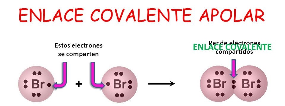 Ser vivo: Resultante interacción genoma-ambiente: ENLACES QUÍMICOS Ser vivo: Resultante interacción genoma-ambiente: ENLACES QUÍMICOS