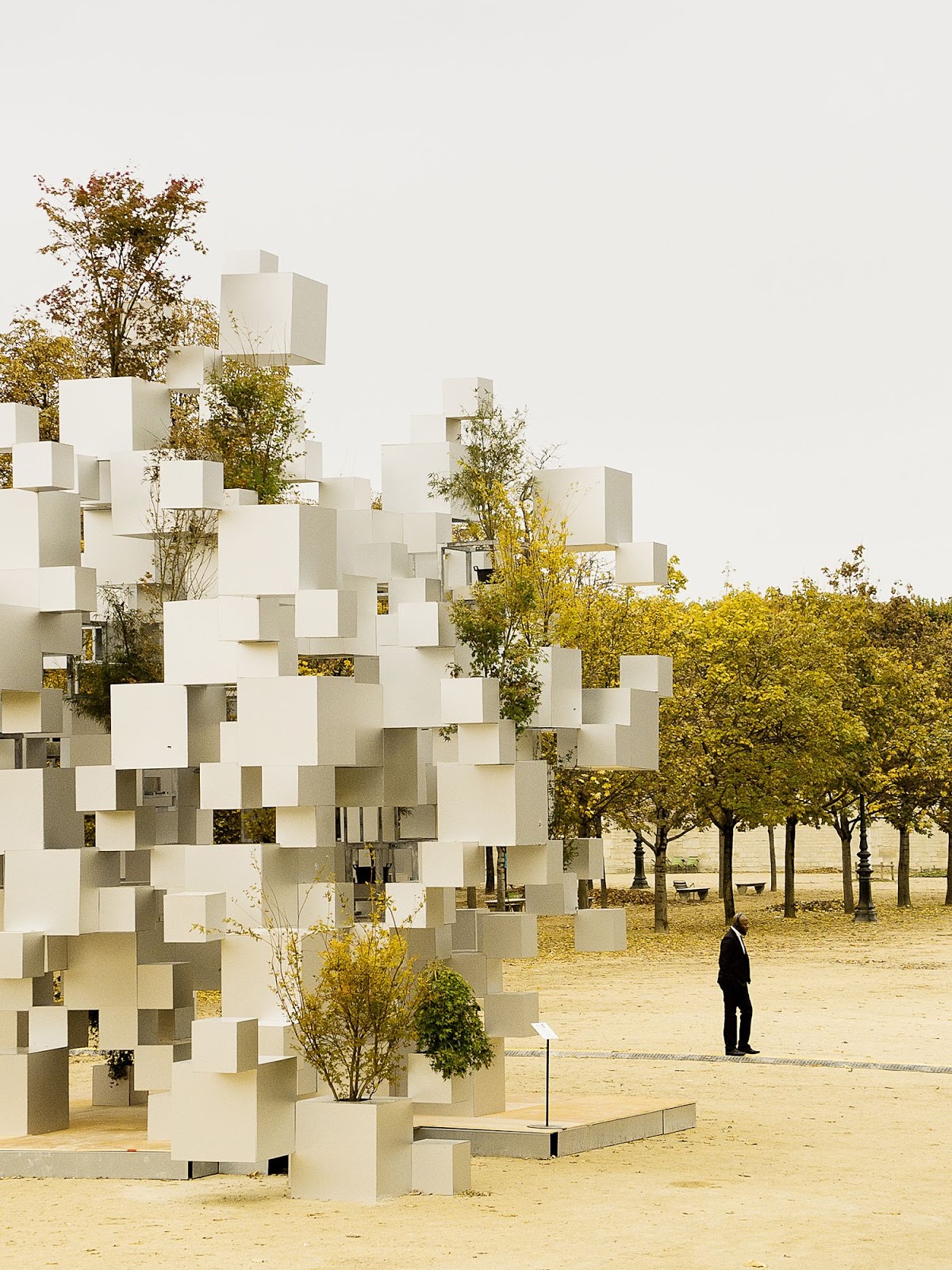 Sou Fujimoto Architects – a f a s i a