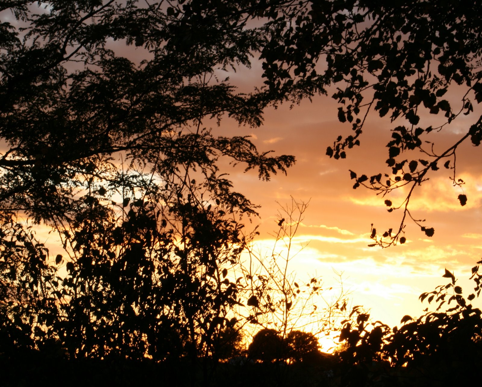 PhotoZmom's Moments: Beautiful Autumn Evening in Iowa