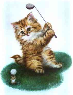 Duff, Dub or Flub? - on the misappropriation of the likeness of a golf ...