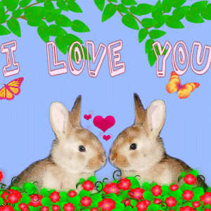 Gif World - Animated Gifs And Glitter Gifs: I Love You Animated Gif ...