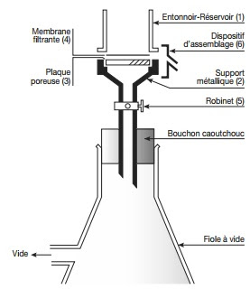 novembre 2018 ~ Biologie, Écologie et environnement