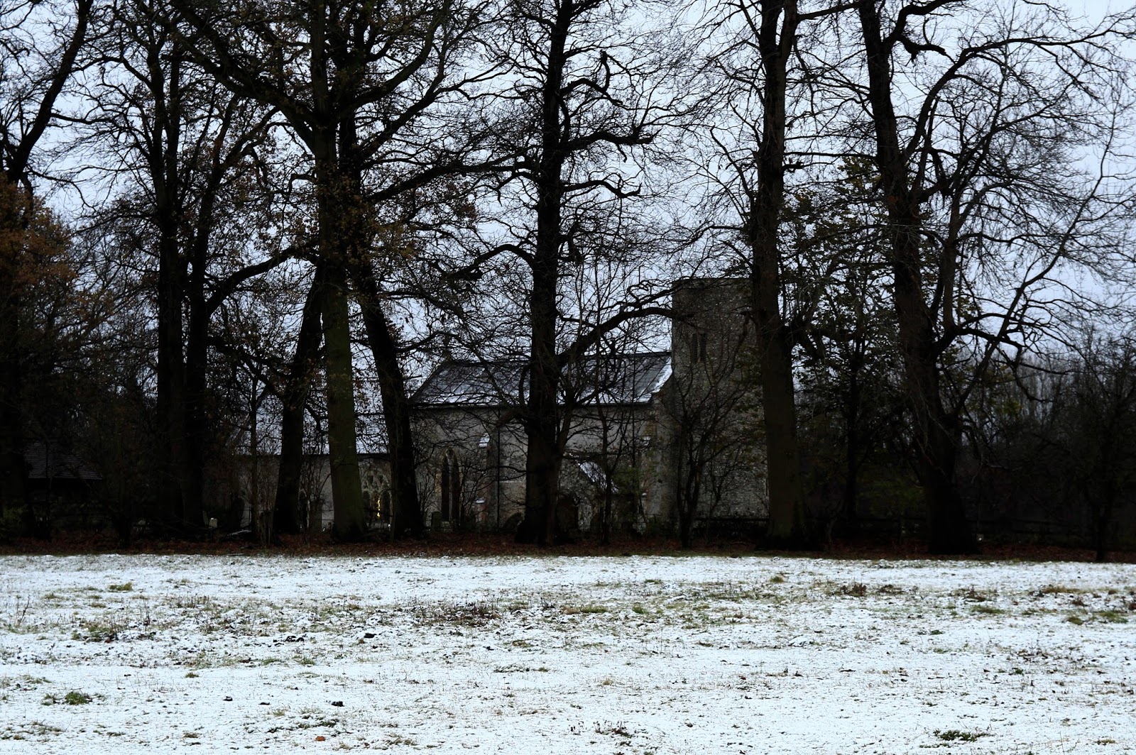 The Breckland Birder: Merton, Norfolk