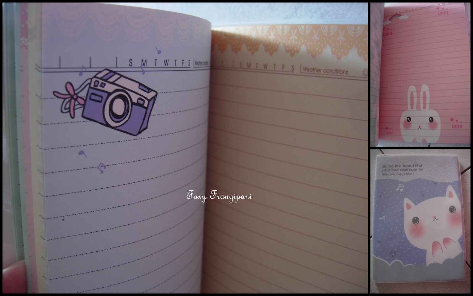 Life of a Foxy Siren: Mr DIY is a Wonderland