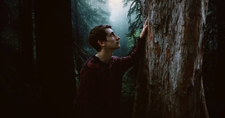 A Lifestyle of Peace: The Pilgrim's Forest: An Allegorical Dream of ...