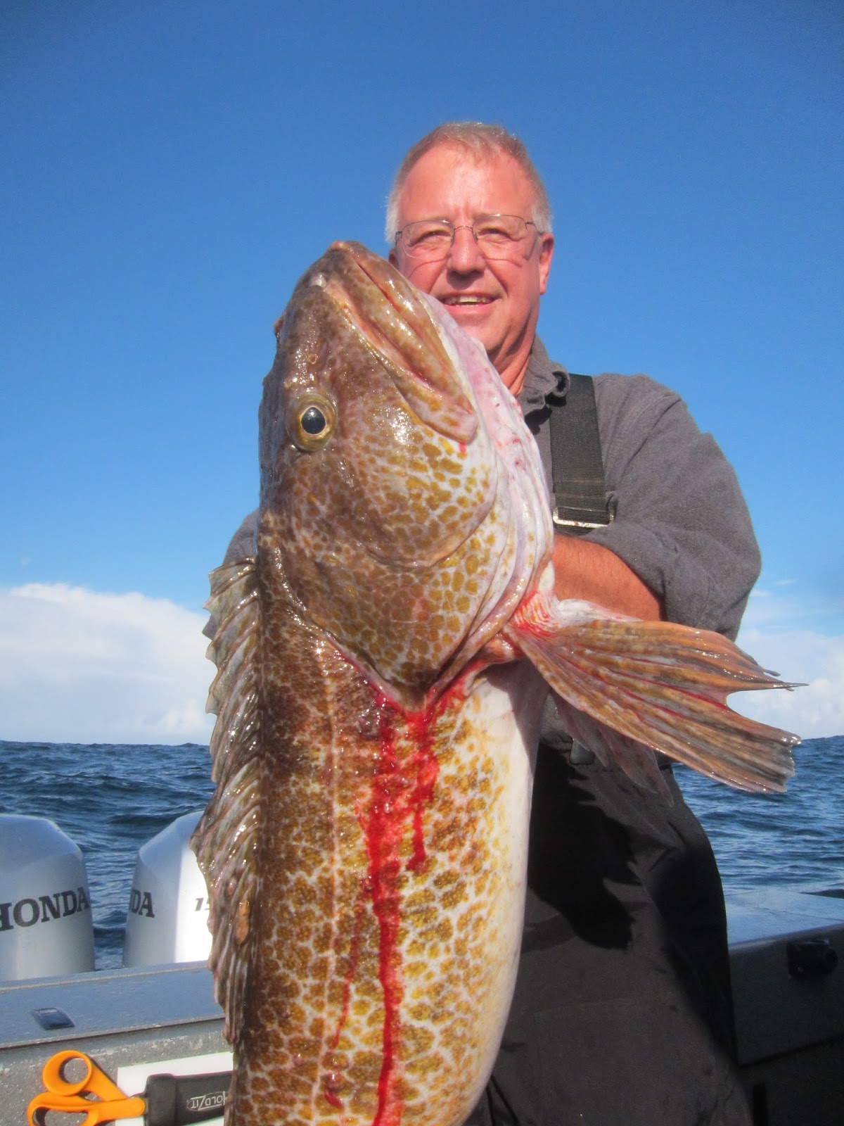 Todds Extreme Fishing: Monster lingcod, giant sable fish, and big bass!