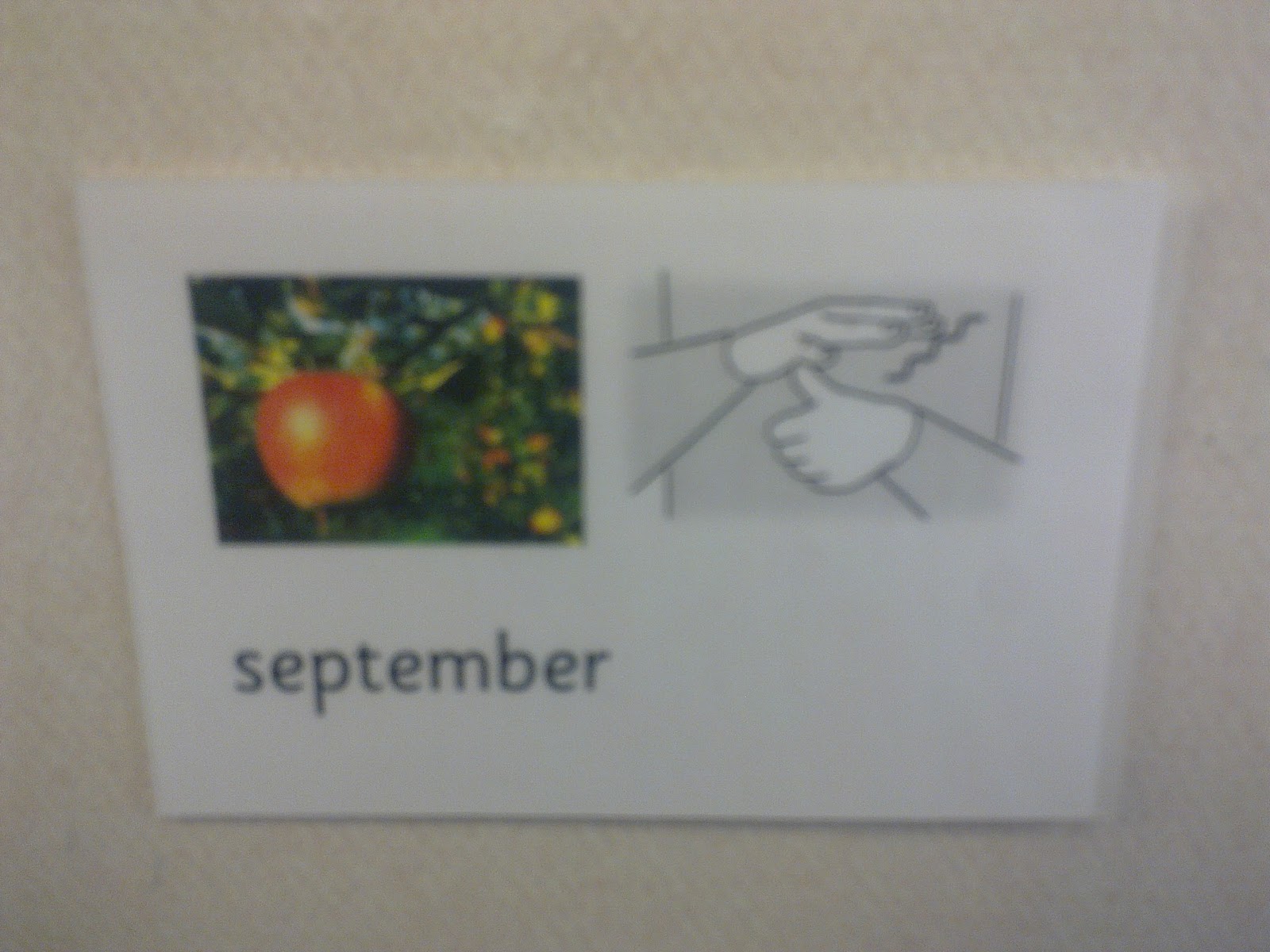 Presseskolans Optimisten: Veckoschema, månaderna och veckodagarna med ...