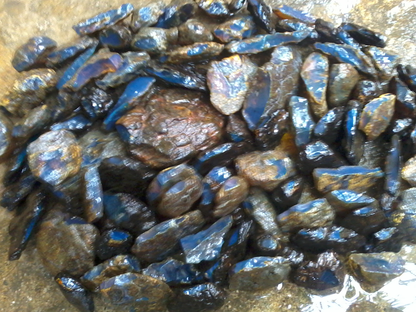 Taller De Ambar San Jose