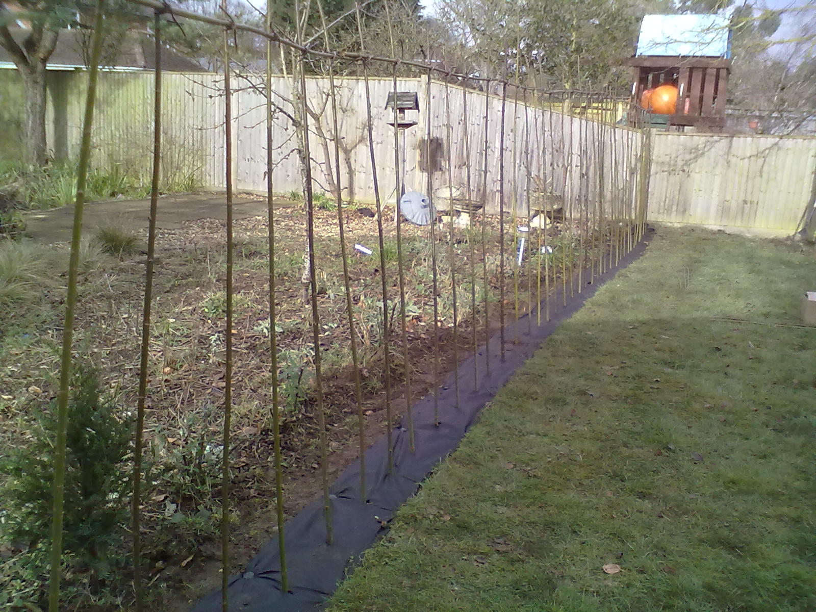 Rachel the Gardener: A new Fedge!