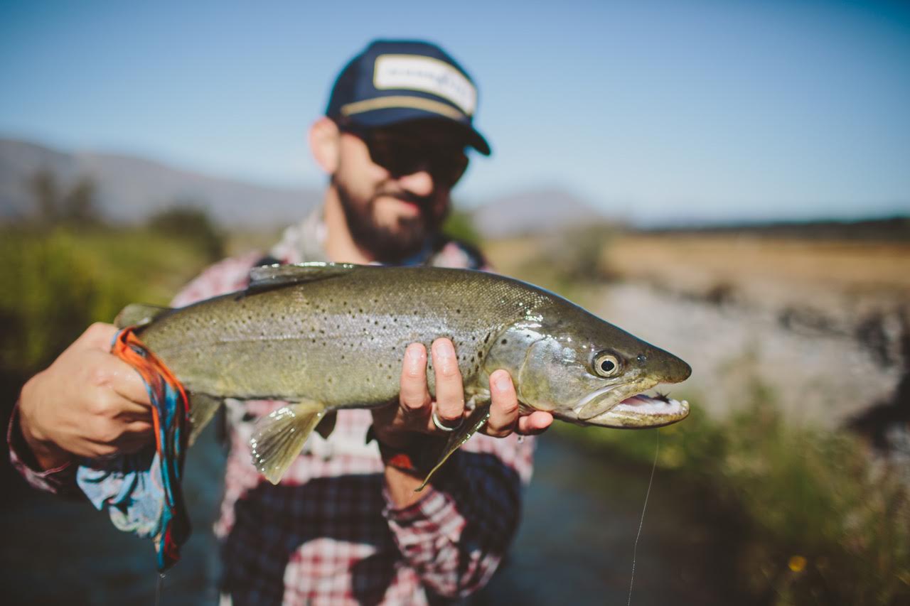 The Fiberglass Manifesto: SWIFT FLY FISHING EPIC 580 - The Five Weight ...