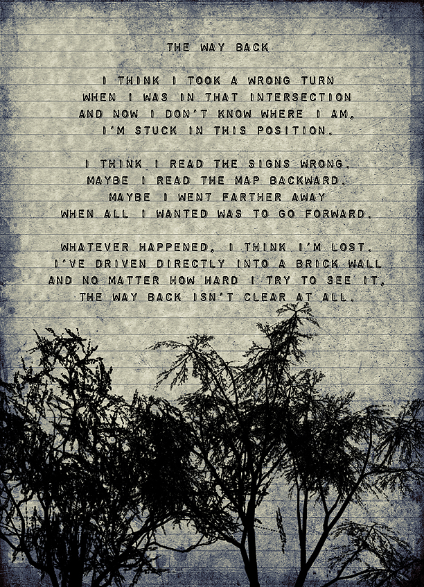 The Ringmaster's Circus: December 2011