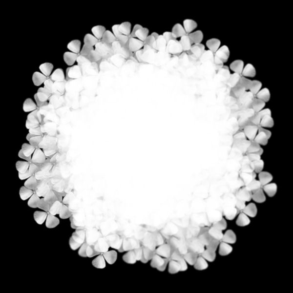 Lori's PSP Graphics: 2 Masks!