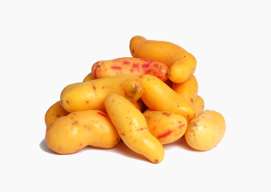 Últimos Acontecimientos