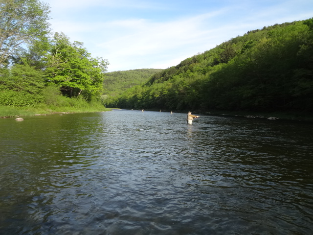 Dan's River Ramblings: Catskills Trout Fishing; May 17-23, 2013