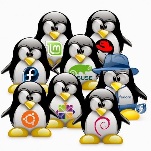 Linux: Conheça as principais "versões" de Linux
