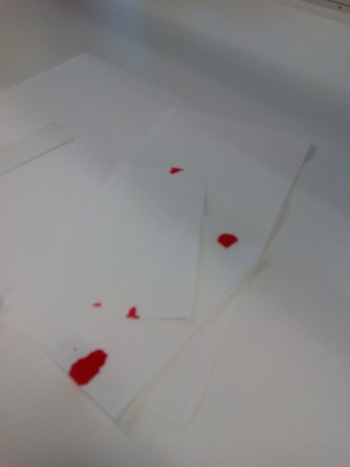 Cuaderno De Practicas De Hematologia: PRACTICA:DETERMINACION DEL TIEMPO ...