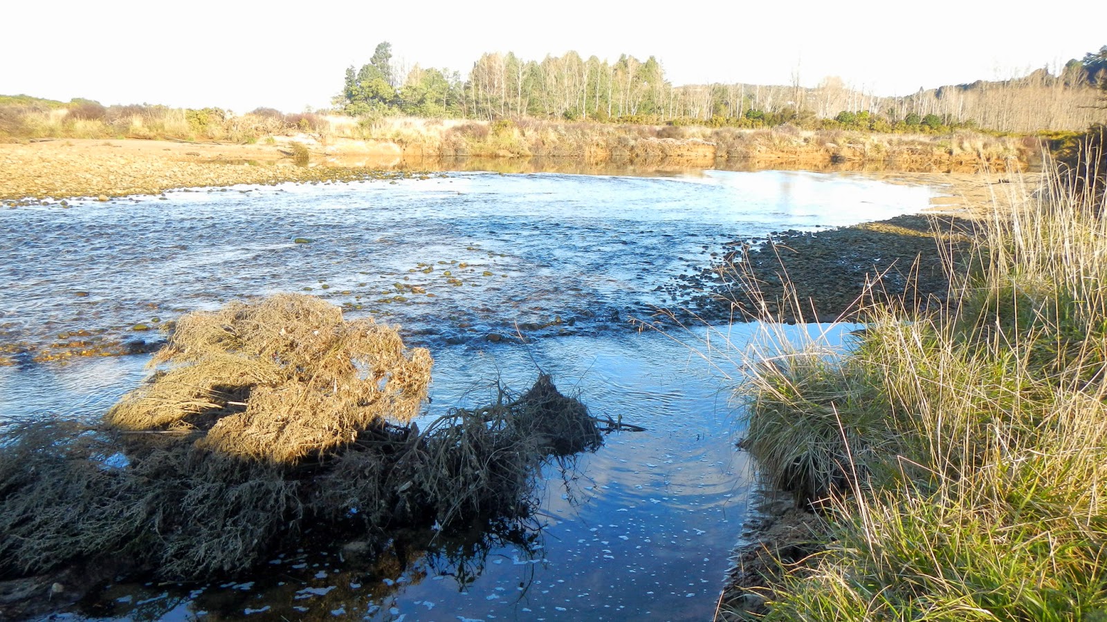 Licorice Allsorts: Marahau... The Abel Tasman Track...