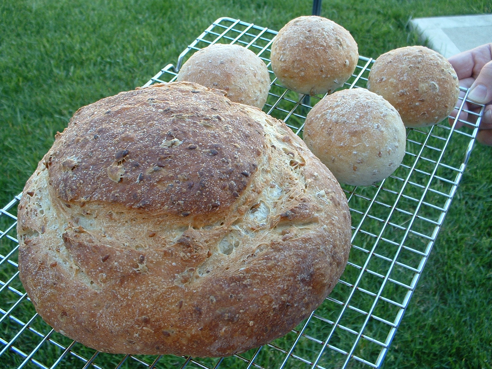 Mel's: Five-Grain Bread with Pate Fermentee (Mellow Bakers: May)