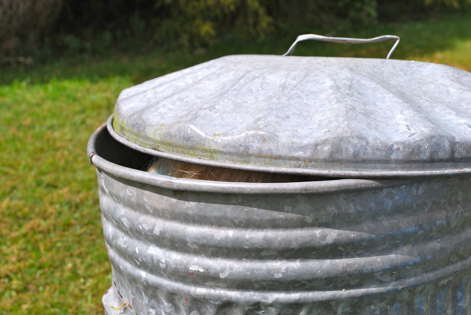 QWERTY Mum: Dustbin of Love