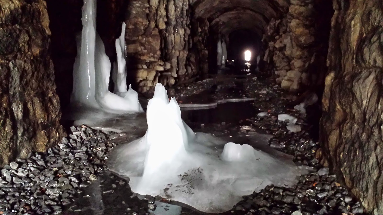 Thrush Tails: Snow Shoe Rails to Trails- SSRT