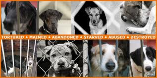 Marques's Blog: Ethos, Pathos, & Logos