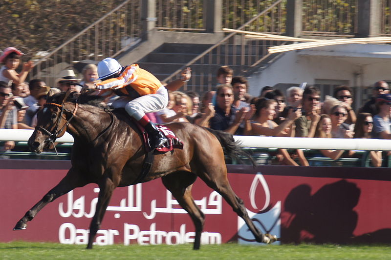 The 1709 Blog: Resale right and race horses The 1709 Blog: Resale right and race horses