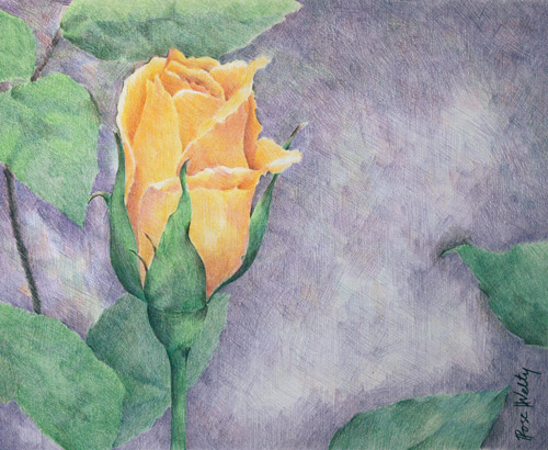 Rose Welty Art Studio: Shining Bright, colored pencil drawing
