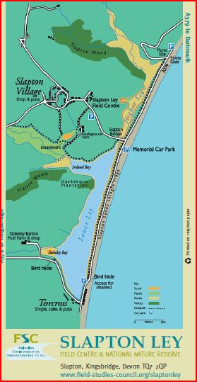 Eco Primate: The landscape, ecology a future of Slapton Ley