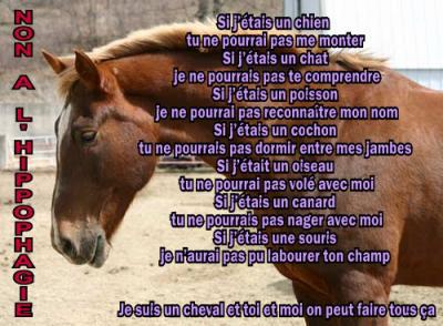 Mes amis les chevaux: 11/06/11