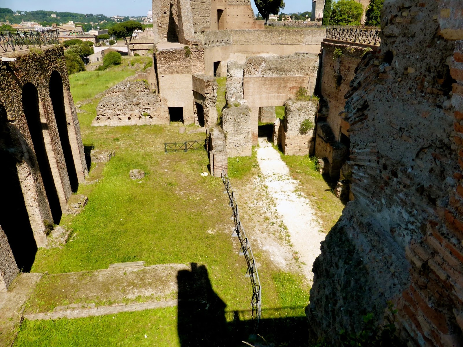 Facciamo un giro in centro?: PALATINO