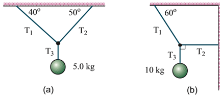 Applying Newton’s Laws Problem and Solutions 1 - JEE-IIT-NCERT Physics ...