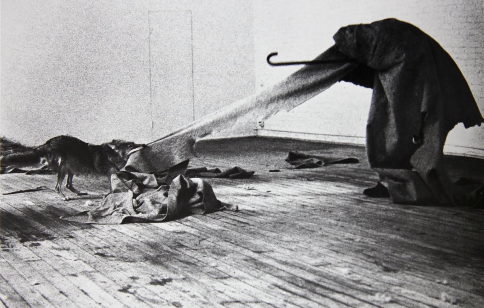 Arte Necesary: Joseph Beuys
