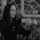 musings from the marsh...: Tim Burton + "The Addams Family"