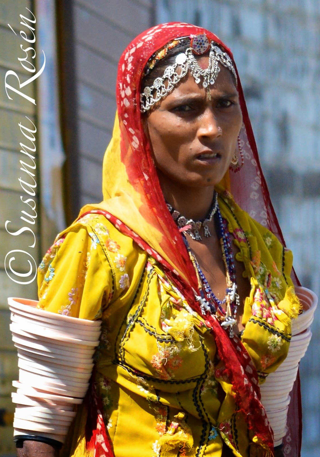 The House of Susanna / my life in India : Rajasthan women in the rural ...