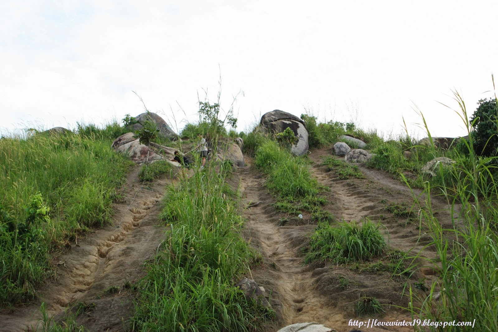 My Palace, My symphony of life and the rhythm in My heart: June 2011