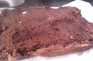 Cake Of The Week: Chocolate Log