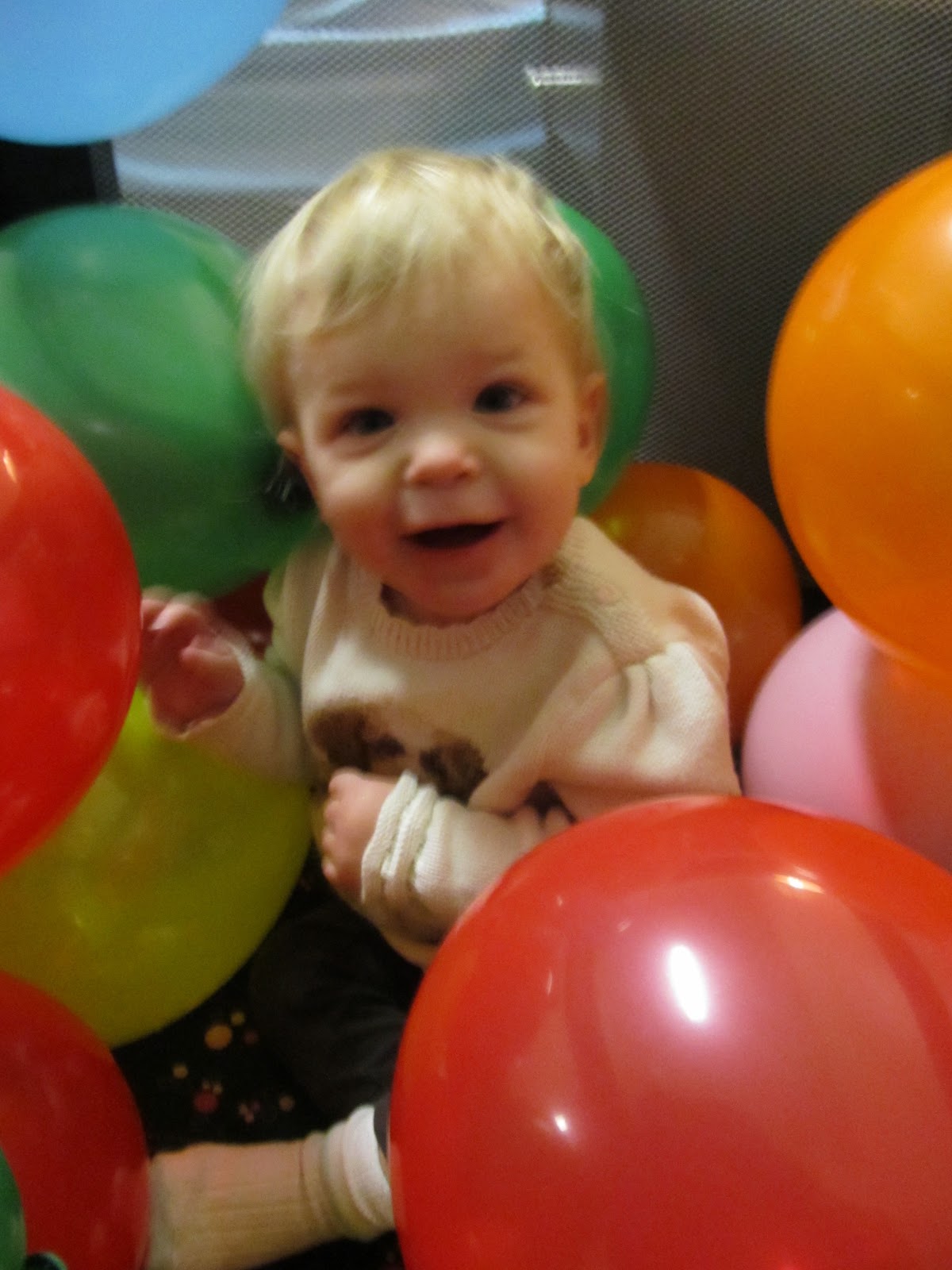 Charlie The Cavalier : Balloons in the Pack and Play