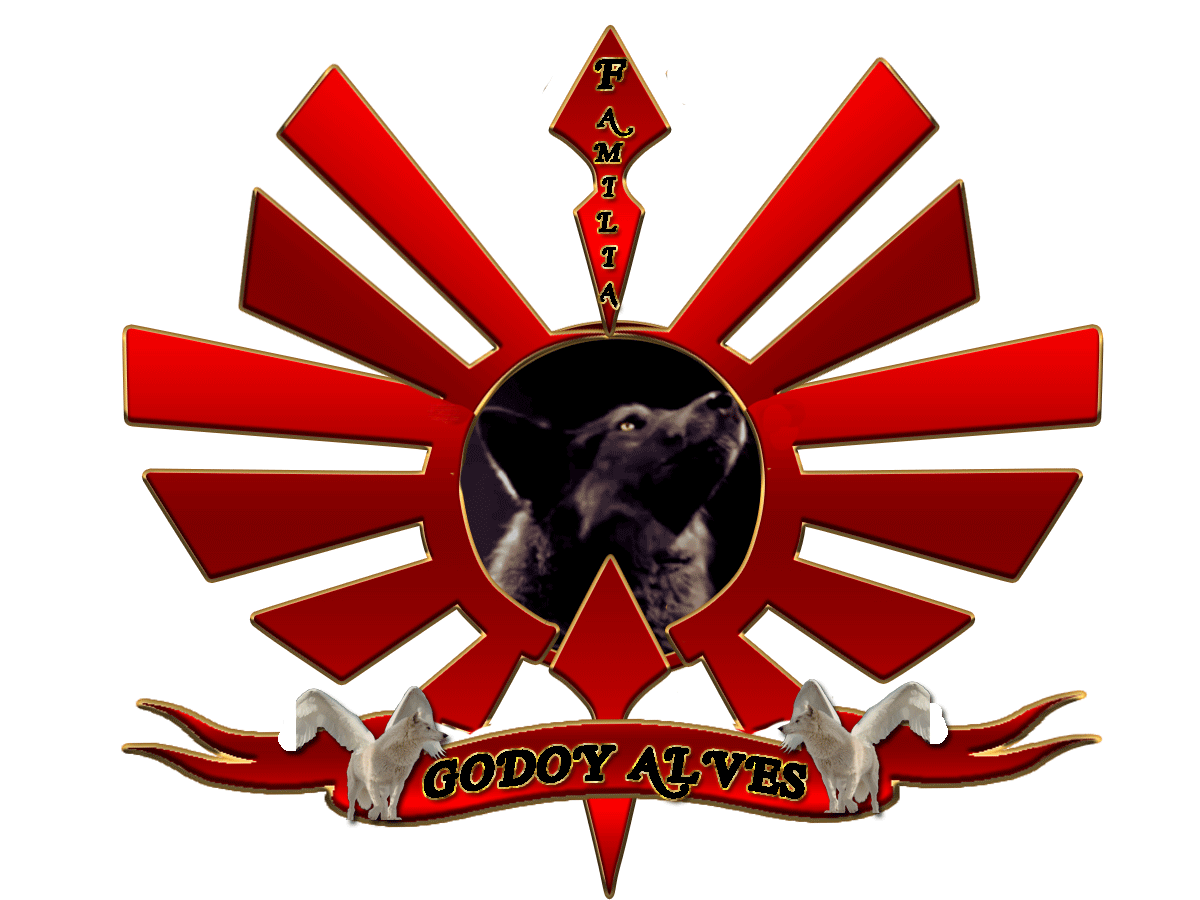 Perfil de Marlon Araújo Godoy Alves