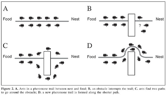 inndustry: Ant Colony Algorithm Lecture and Videos