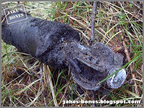 Today I found a bomb from WWII ! : Jake's Bones
