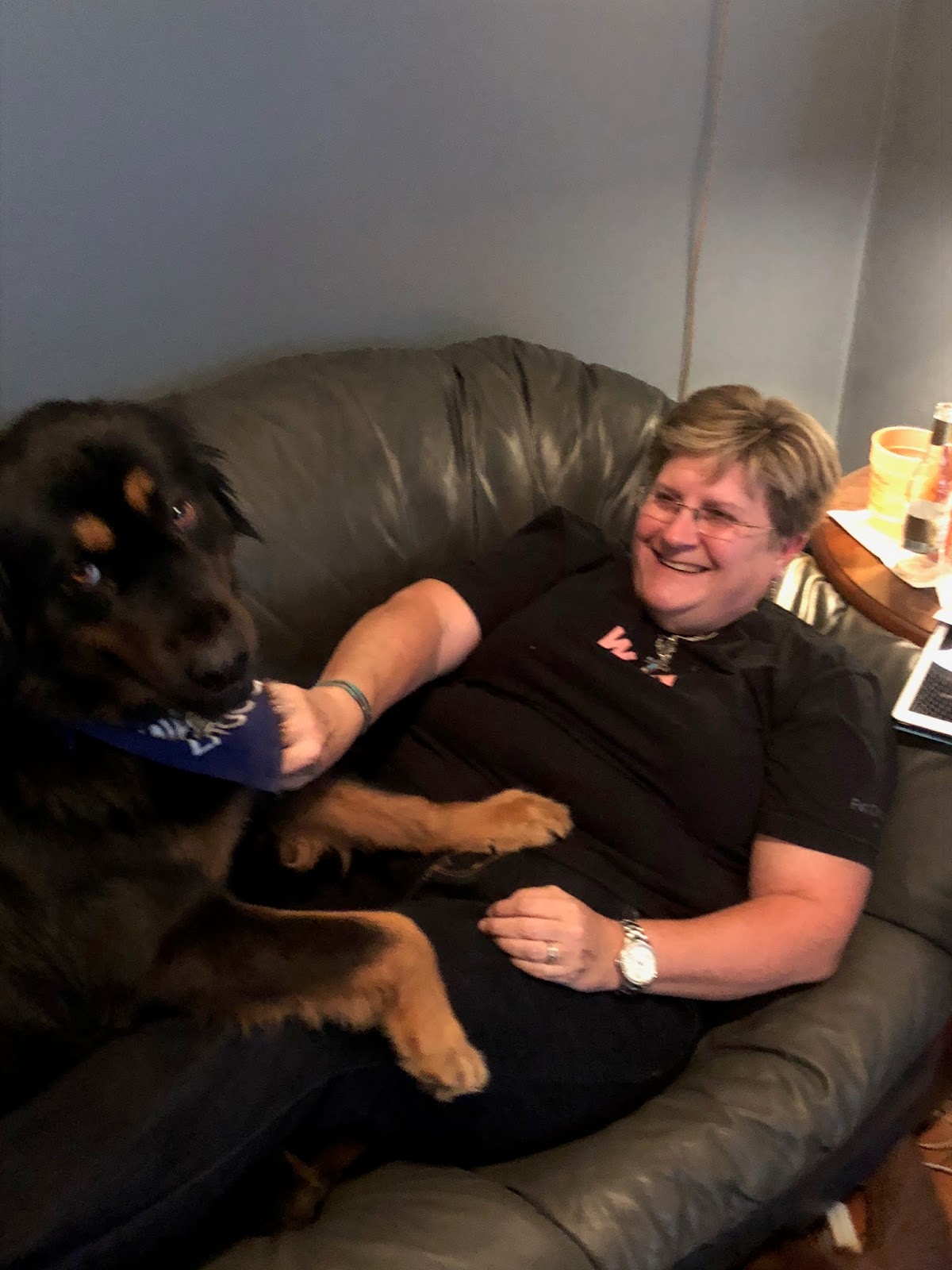 Poems, Psalms, and Prayers: The Little Dog's Rhapsody in the Night ...