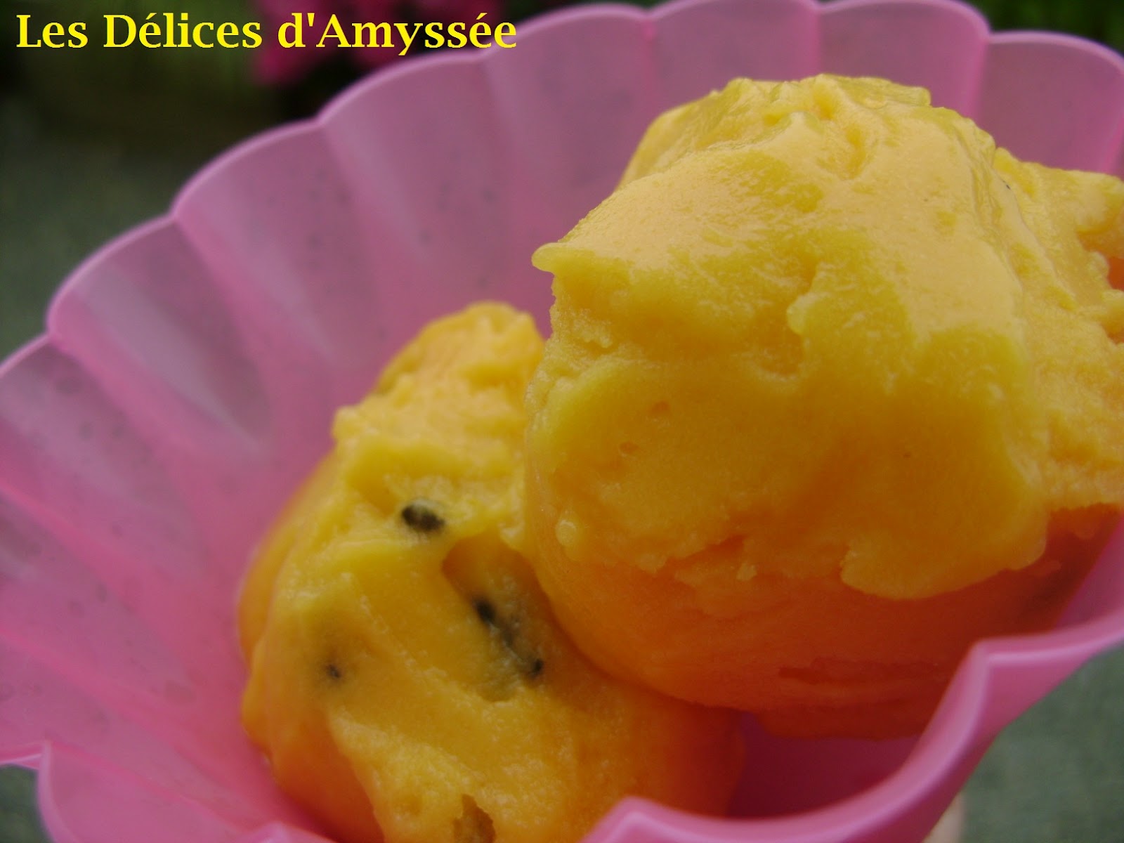 Les Délices d'Amyssée: Sorbet mangue et fruit de la passion