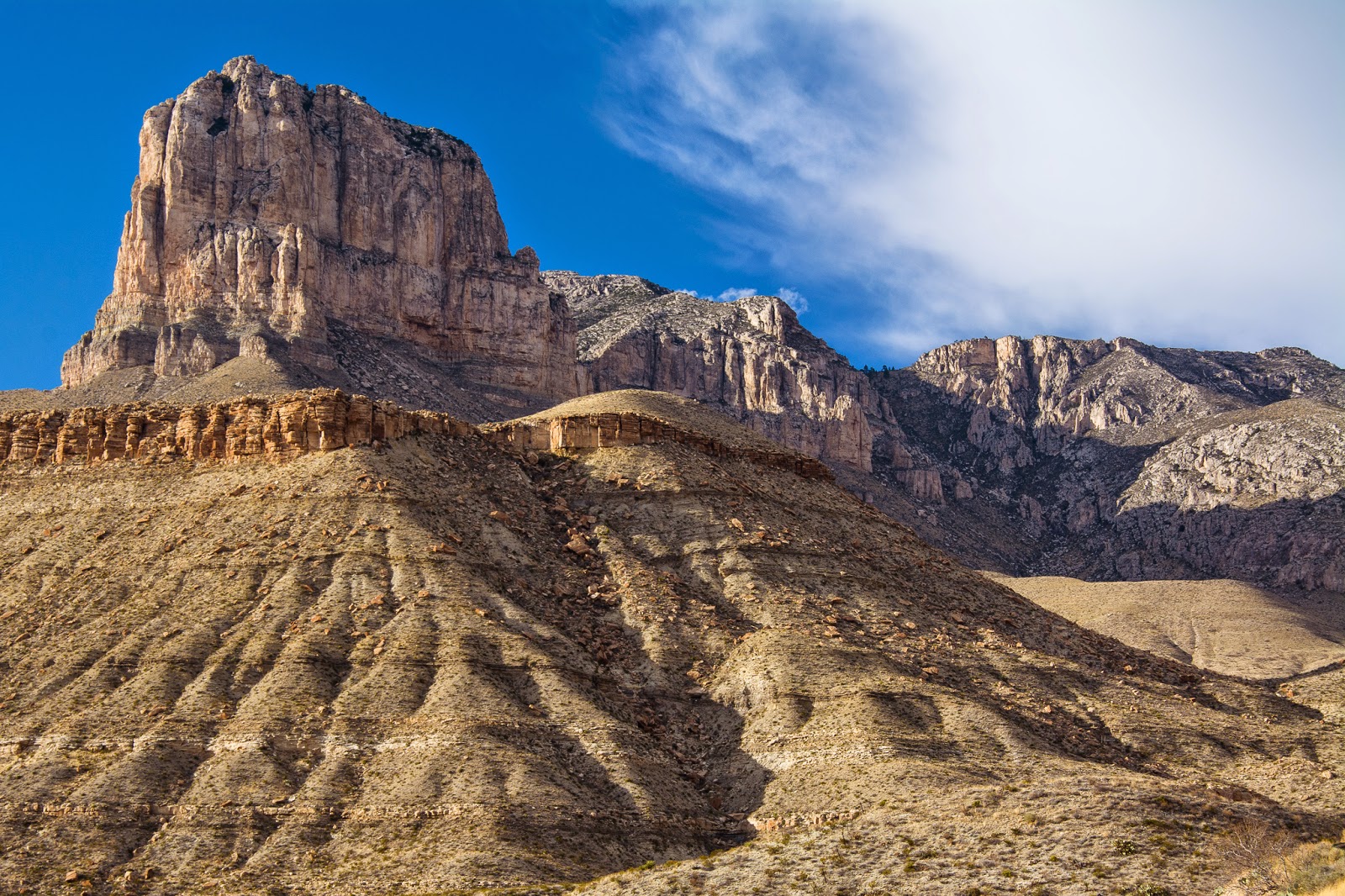 A Tree Falling: Smith Spring Trail