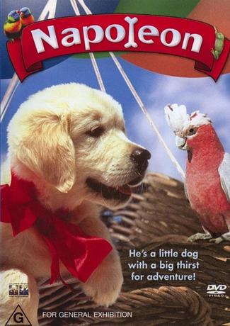 Napoleon (1995 film) - Alchetron, The Free Social Encyclopedia