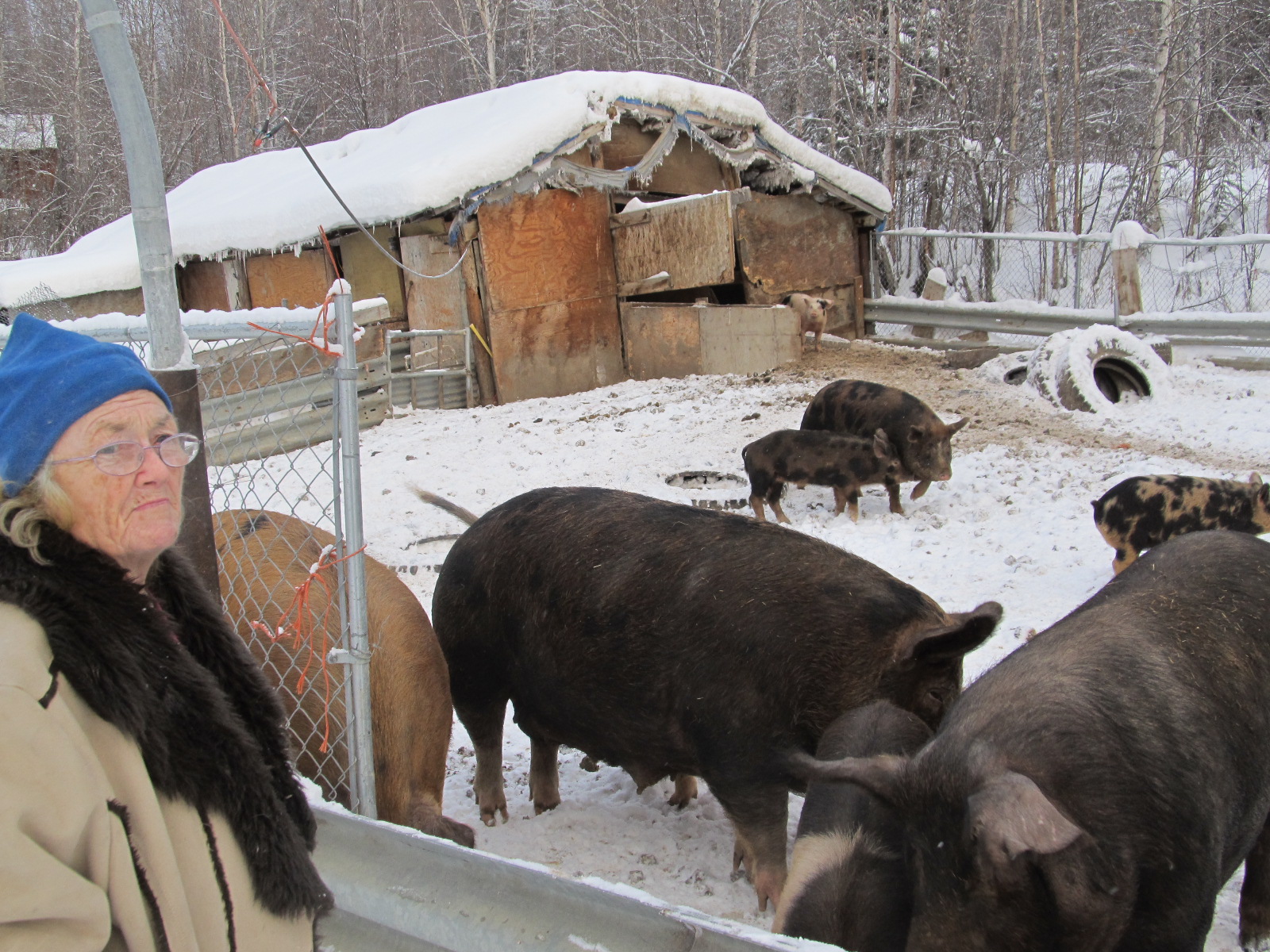 Farm Aid, Alaska-Style – Farm Aid