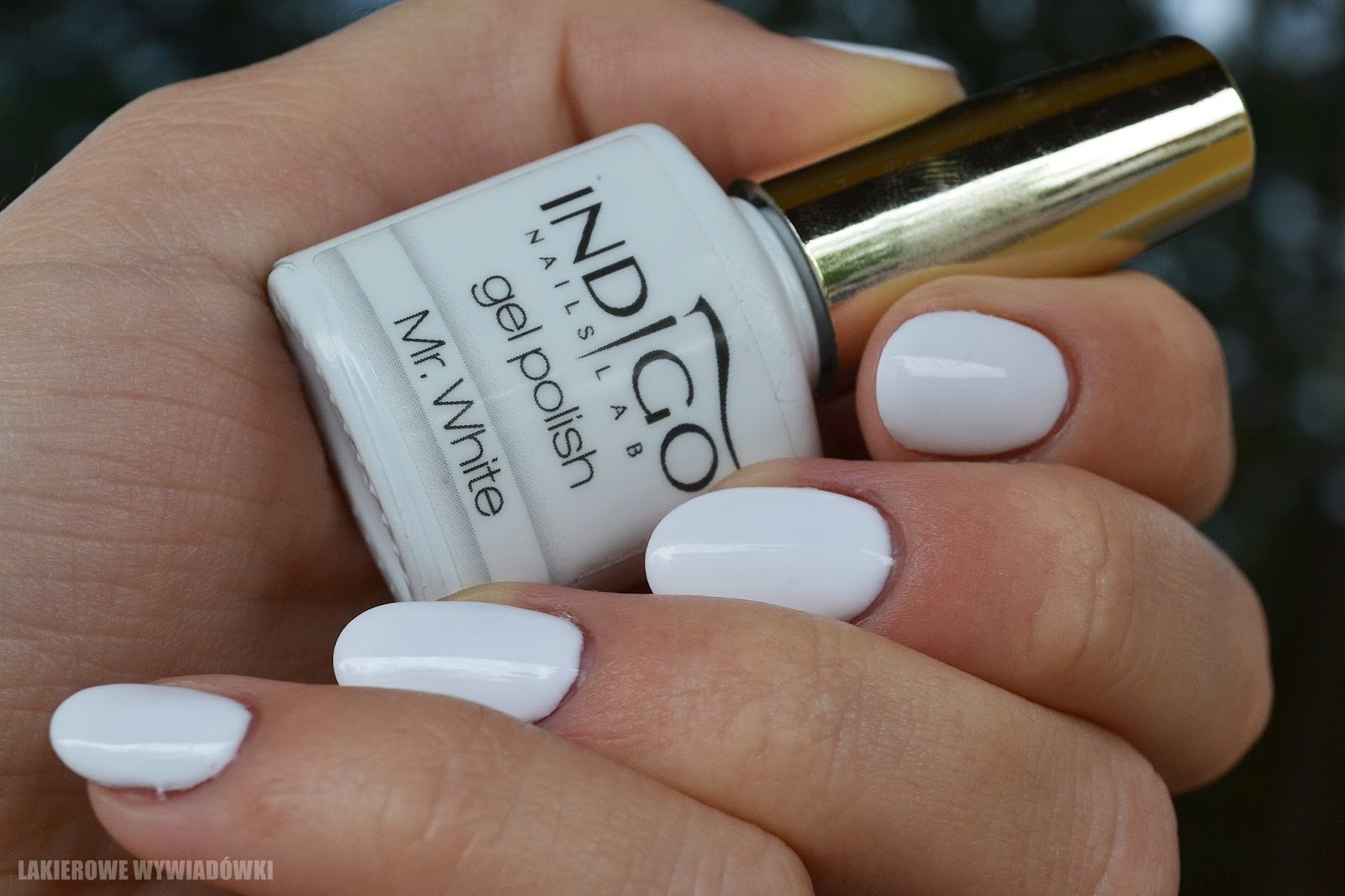 lakierowe wywiadówki: Indigo Nails gel polish - Mr. White