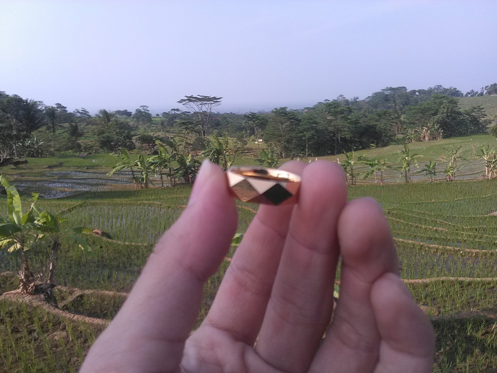 Cincin Tungsten: cincin tungsten warna gold