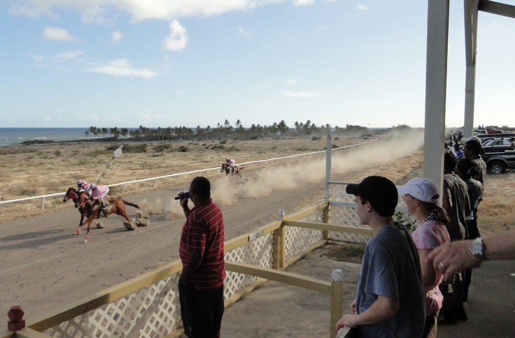 Rob and Natalie's Voyages on sv Wilhelm: Horse Racing on Nevis. March ...